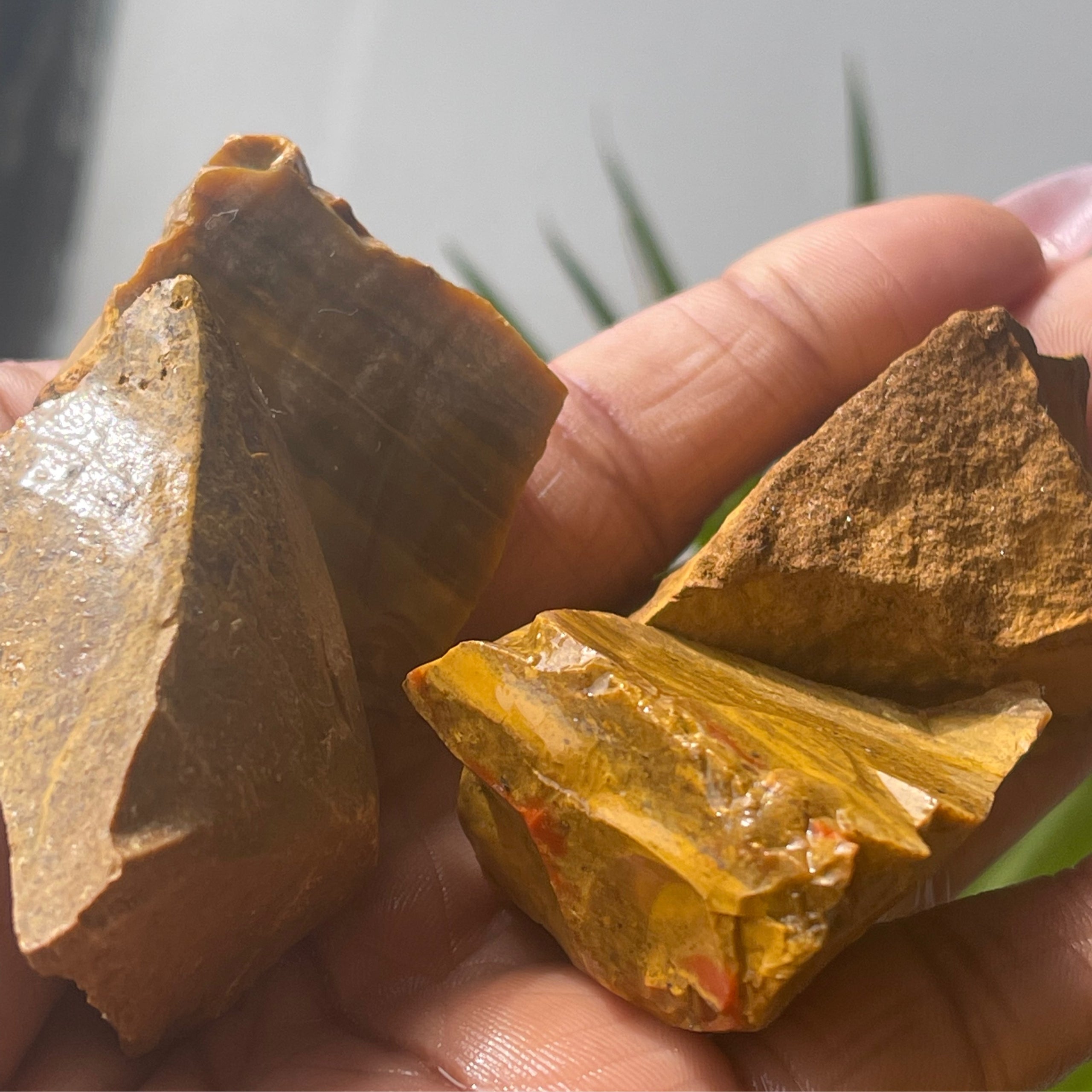 Raw Calligraphy | Body, Stone and Soul